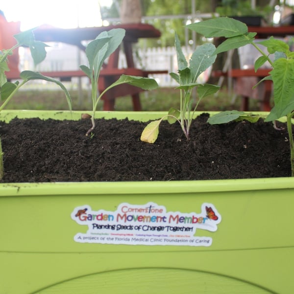 Terrapin Day 2020: A Student's Reflection